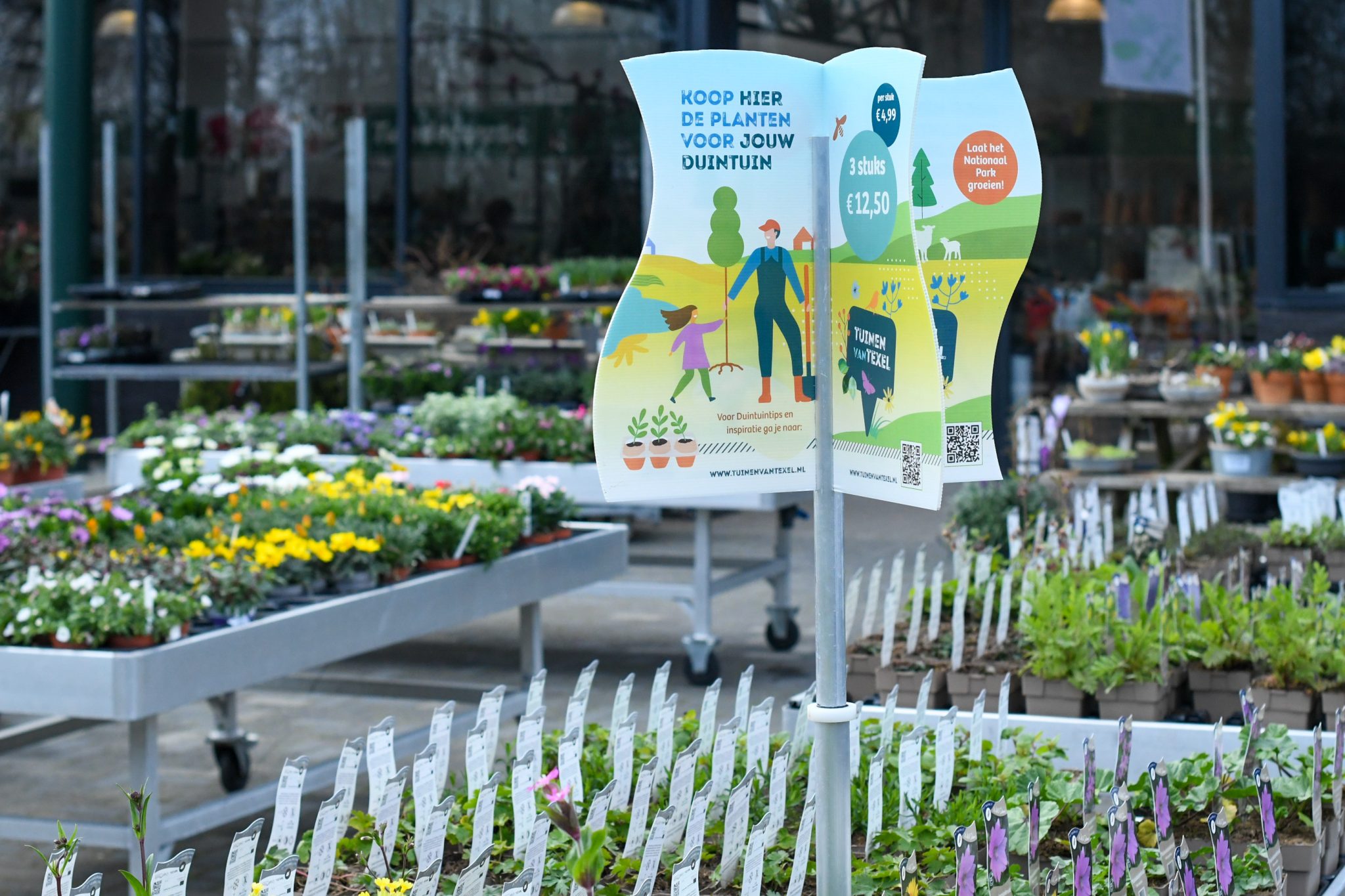 Wat zijn inheemse bomen, planten en struiken? - IVN
