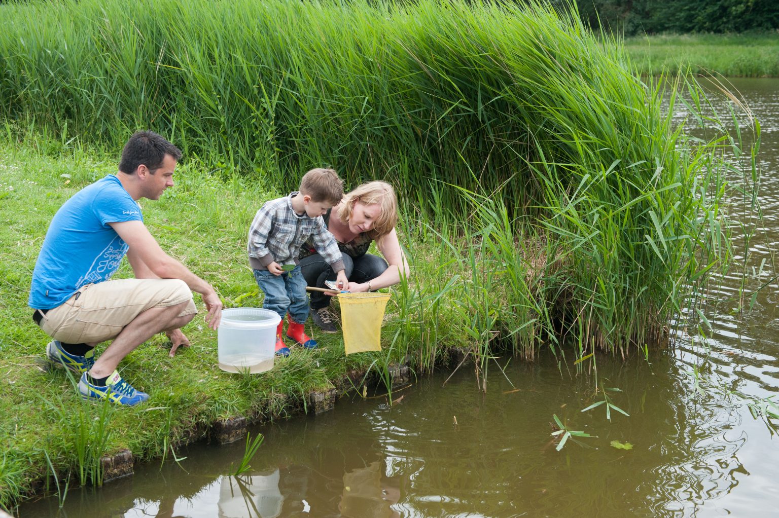 Wat is een sloot? - IVN