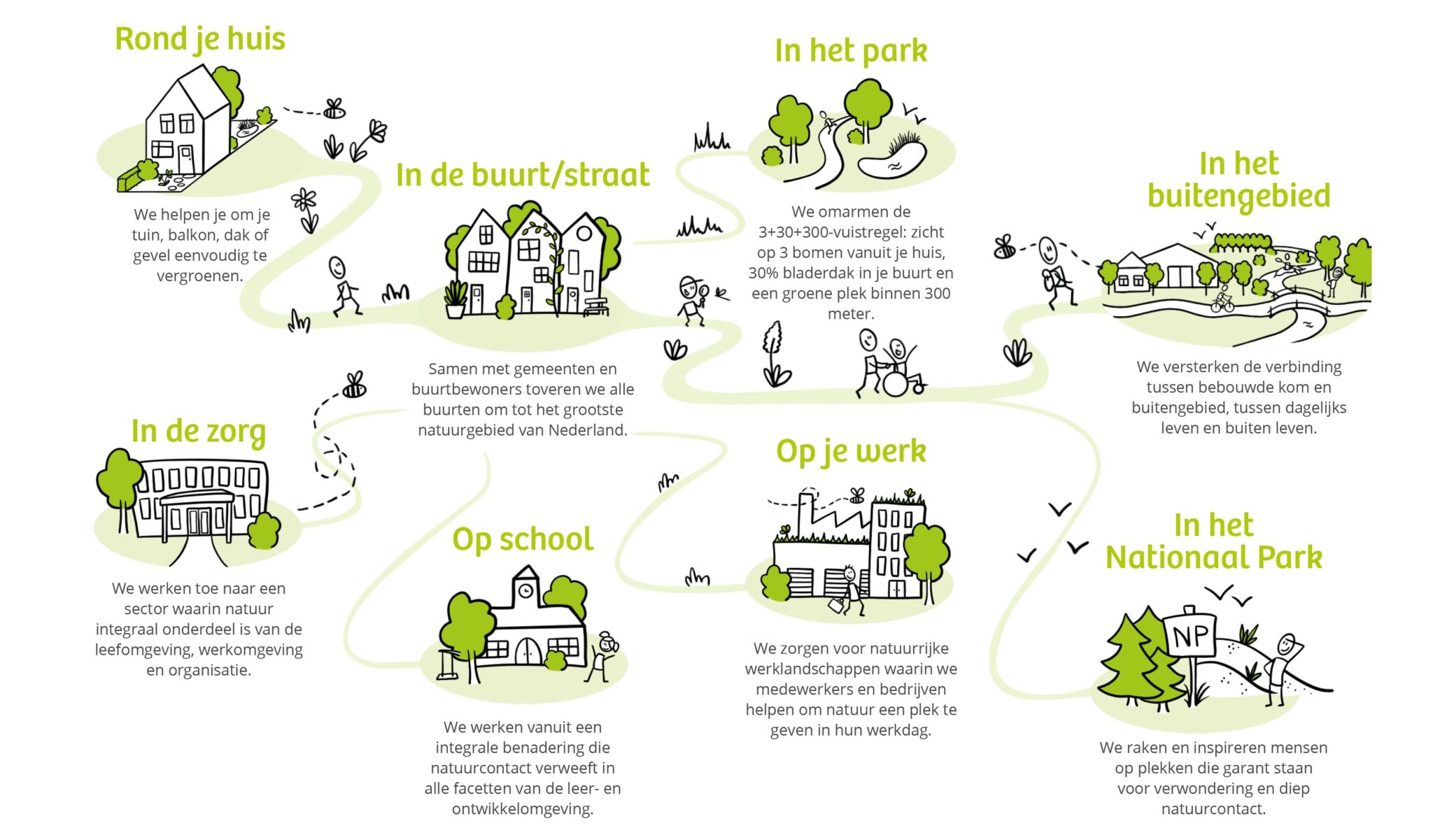 Meerjarenplan IVN 2026–2030: Elke dag een stap dichter bij de natuur - IVN