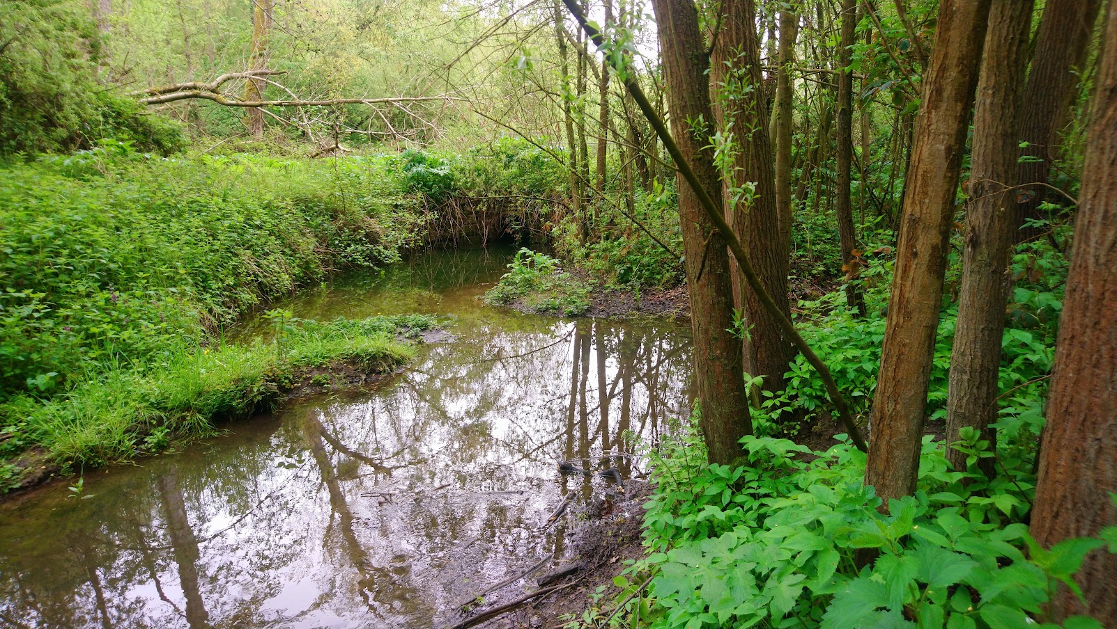 Estaffetewandeling langs de Geleenbeek - IVN