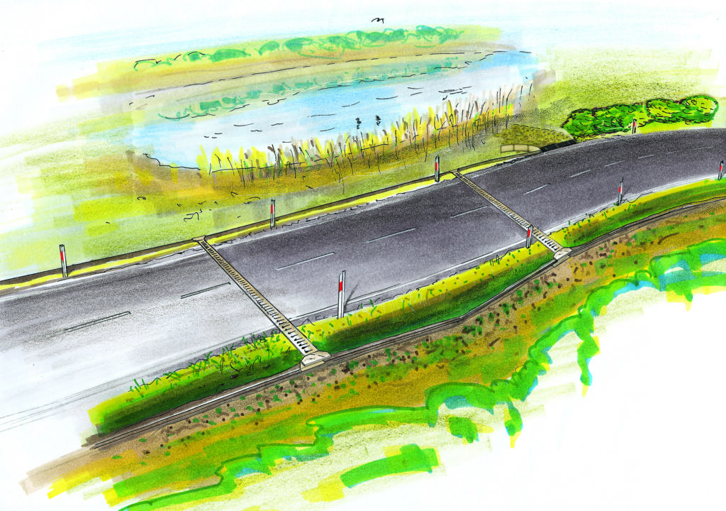 Aanleg amfibieëntunnels: oplossing in zicht! - IVN