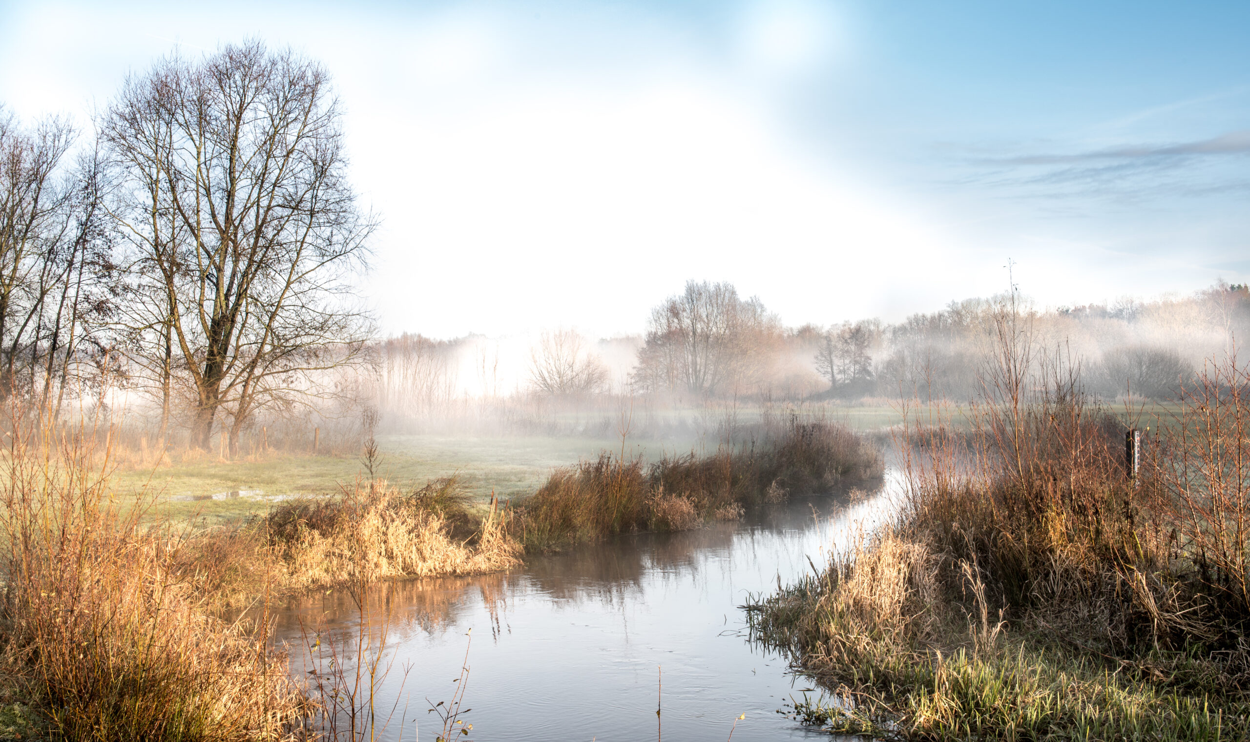 Wandeling bij zonsopkomst in het beekdal - IVN