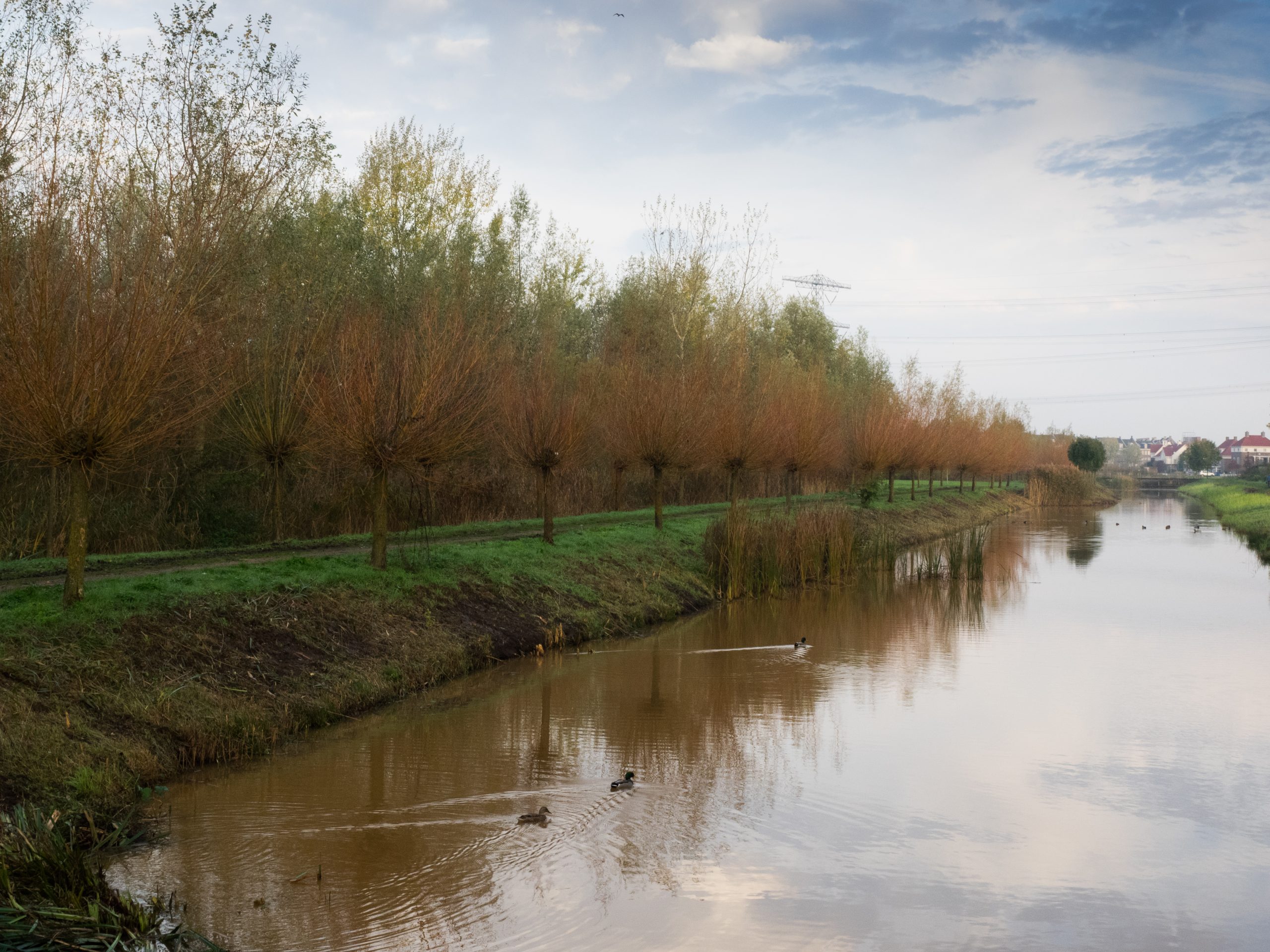 Ecozone Brandevoort - Helmond