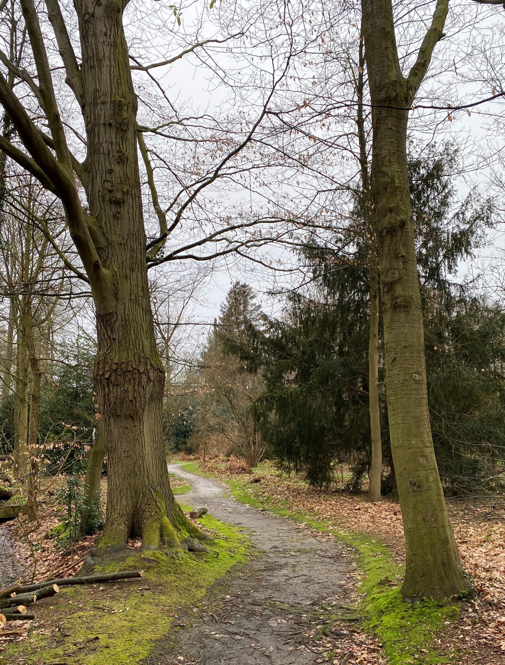 Rondom kasteel Croy - Helmond