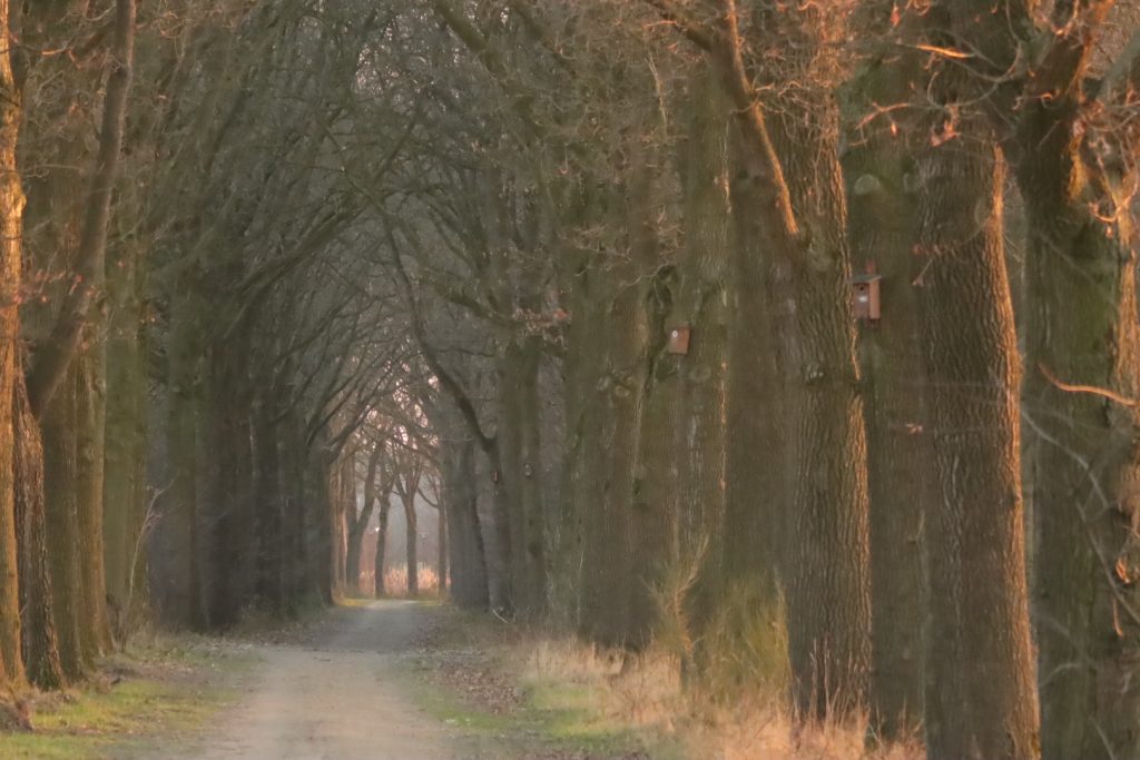 Focus op Natuur - IVN