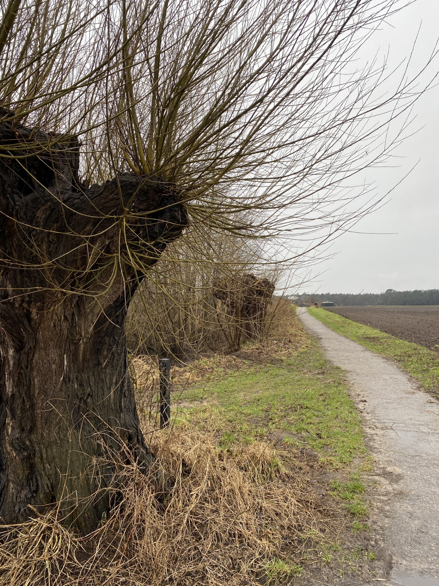 Seniorenwandeling 28 februari Berkendonk - IVN