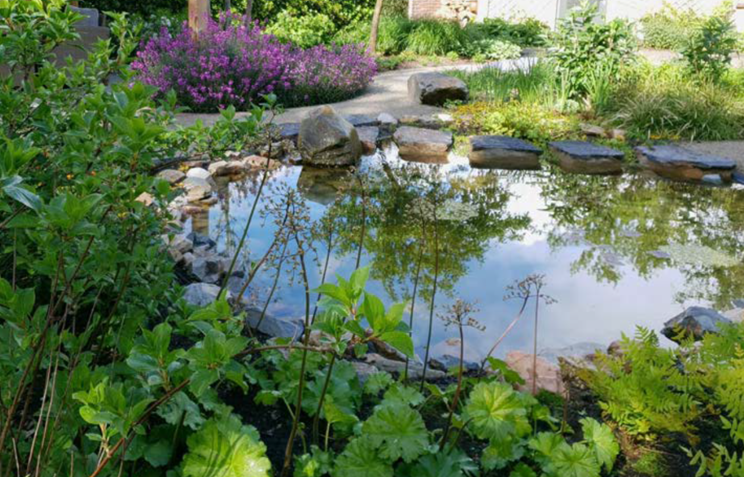 Workshop biodiversiteit en vergroenen in je eigen tuin - IVN