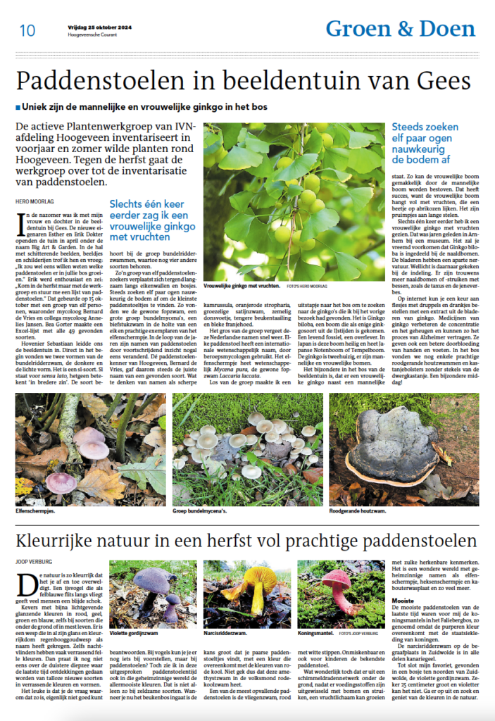 Paddenstoelen in beeldentuin van Gees - IVN