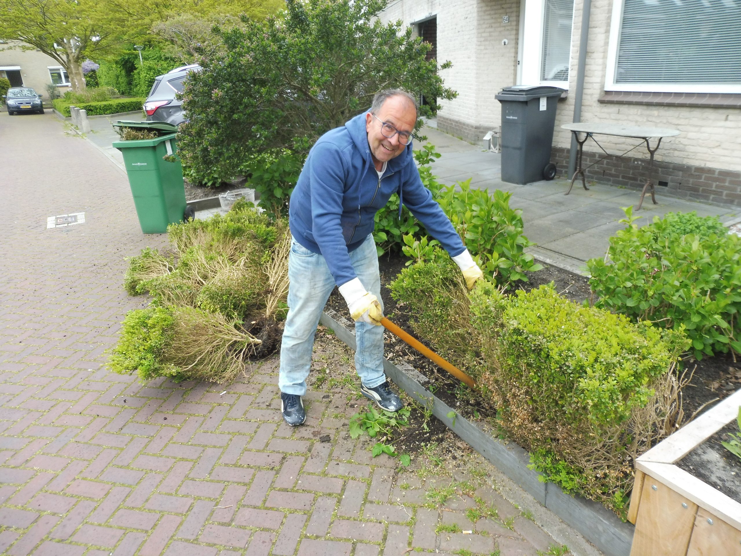 2019 05 Red de buxus, Henk Glas - Amstelveen