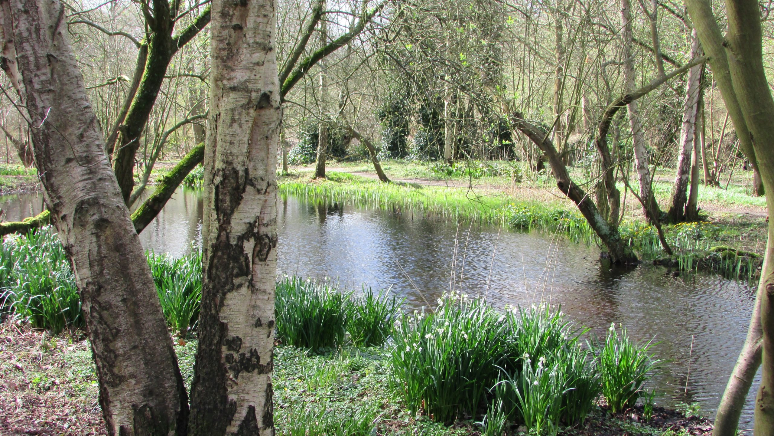 Voorjaarsexcursie heemtuin Sloterpark - IVN