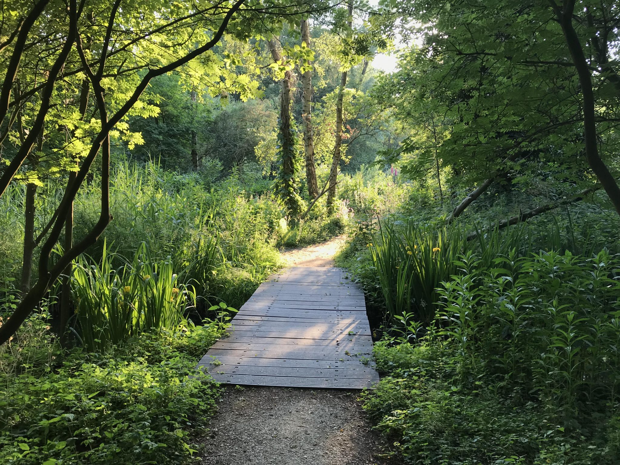 Zomerexcursie Heemtuin Sloterpark - Amsterdam