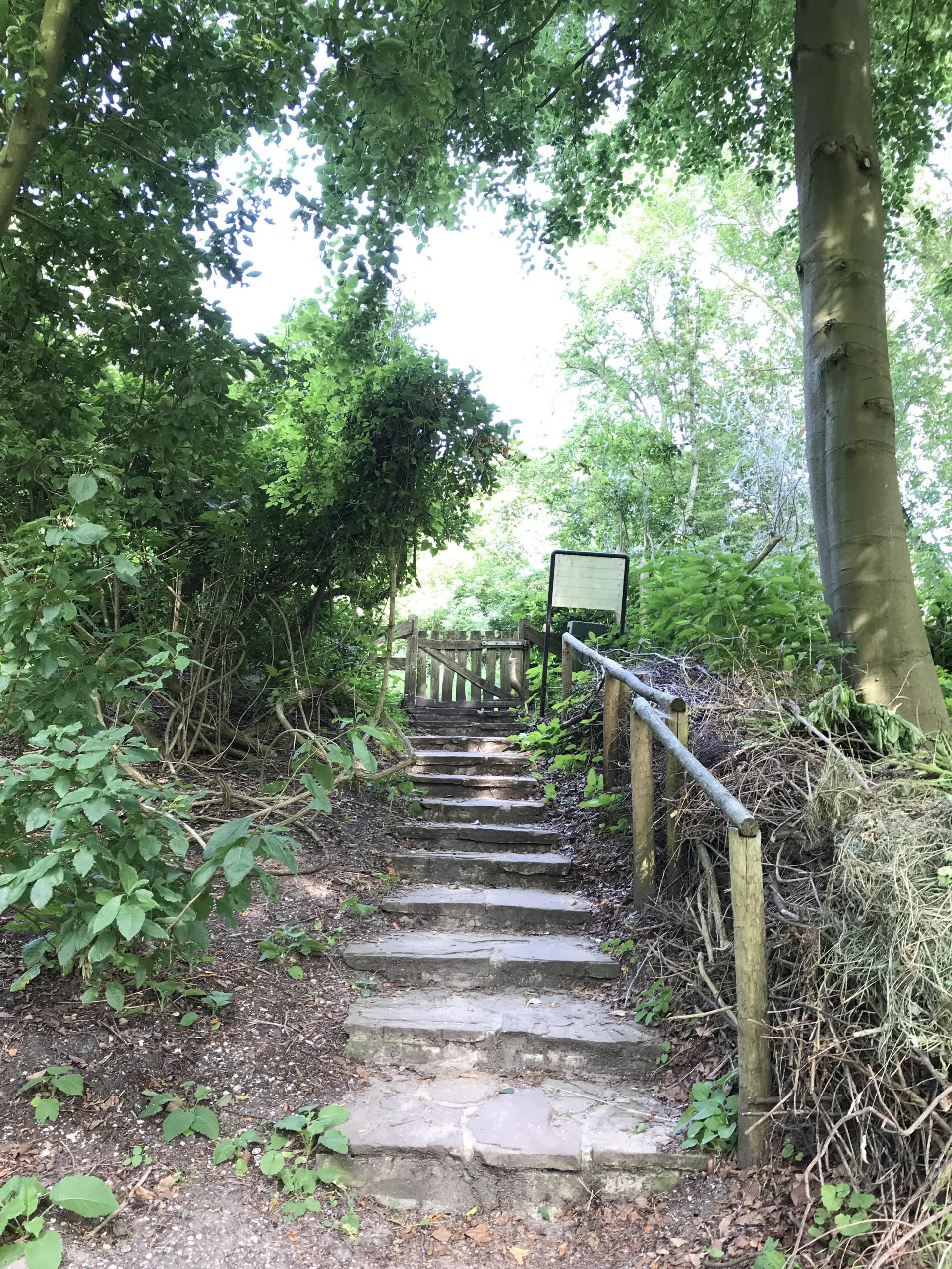 Zomerexcursie Heemtuin Sloterpark - Amsterdam