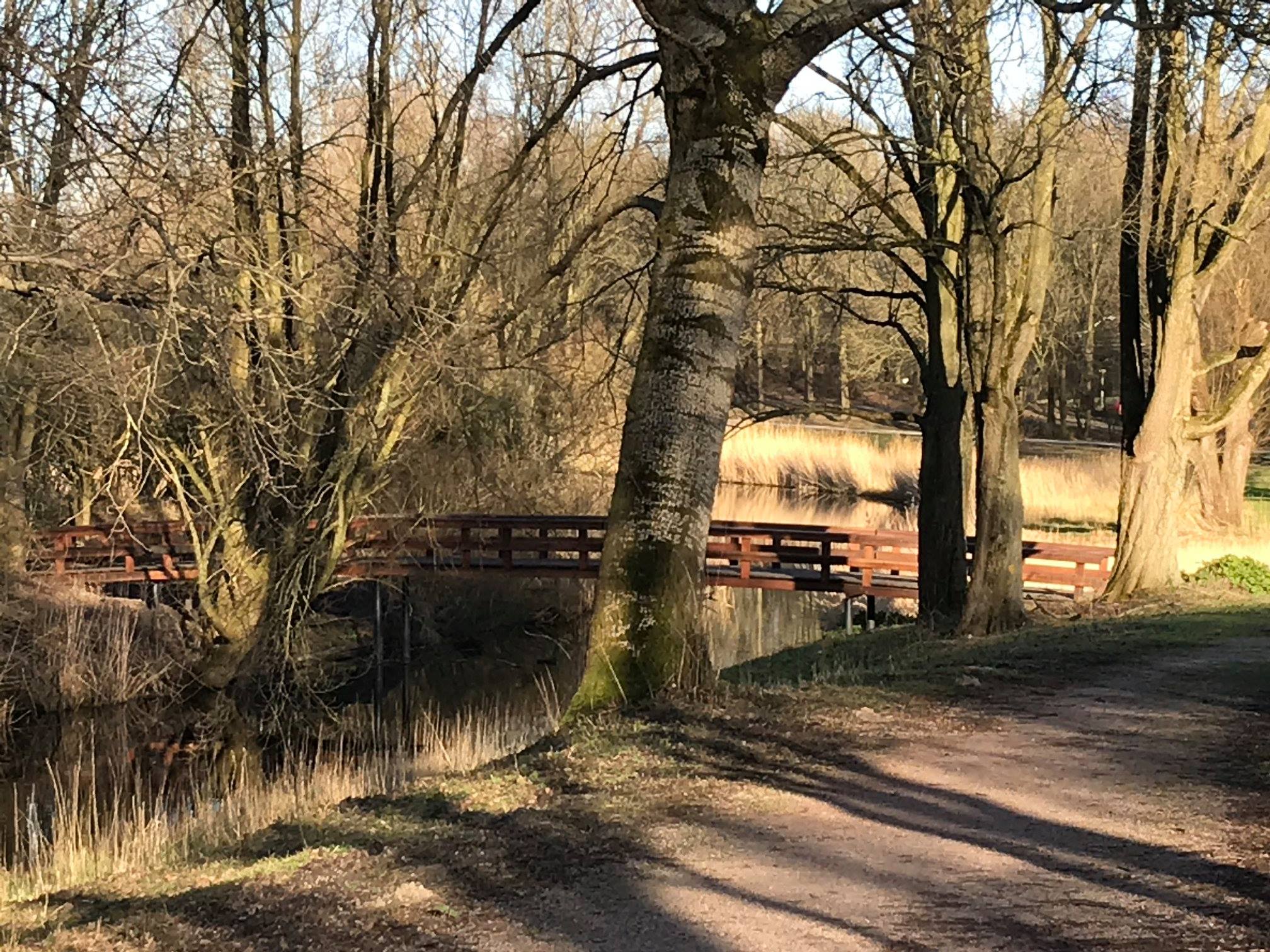 Bomenexcursie Heemtuin Sloterpark - Amsterdam