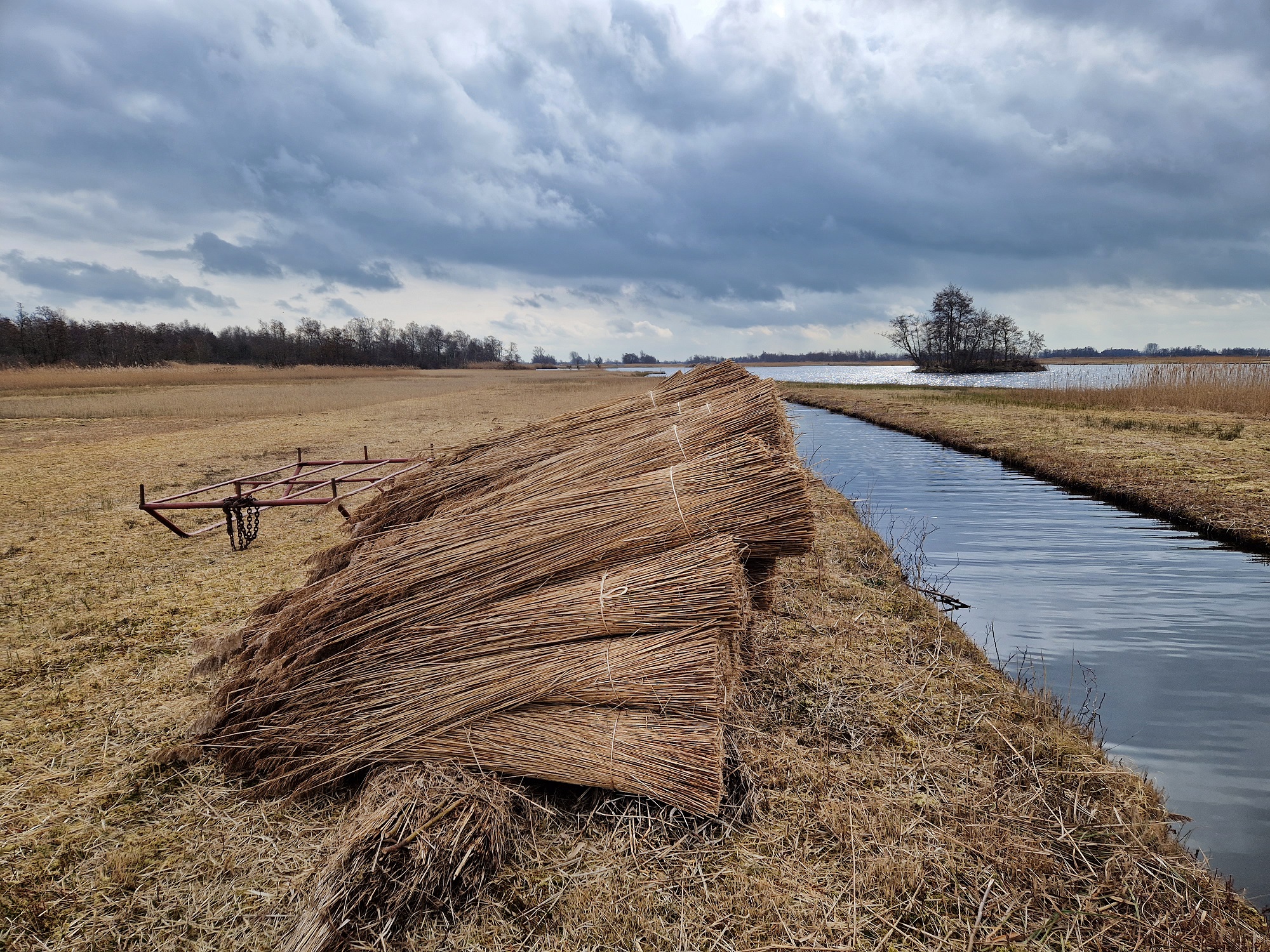 Gesneden riet levert prachtige beelden op in de Nieuwkoopse Plassen ...