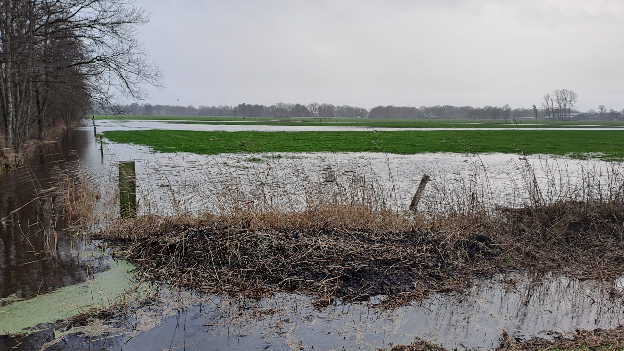 Wandeling vanuit Boerakker (d) - IVN