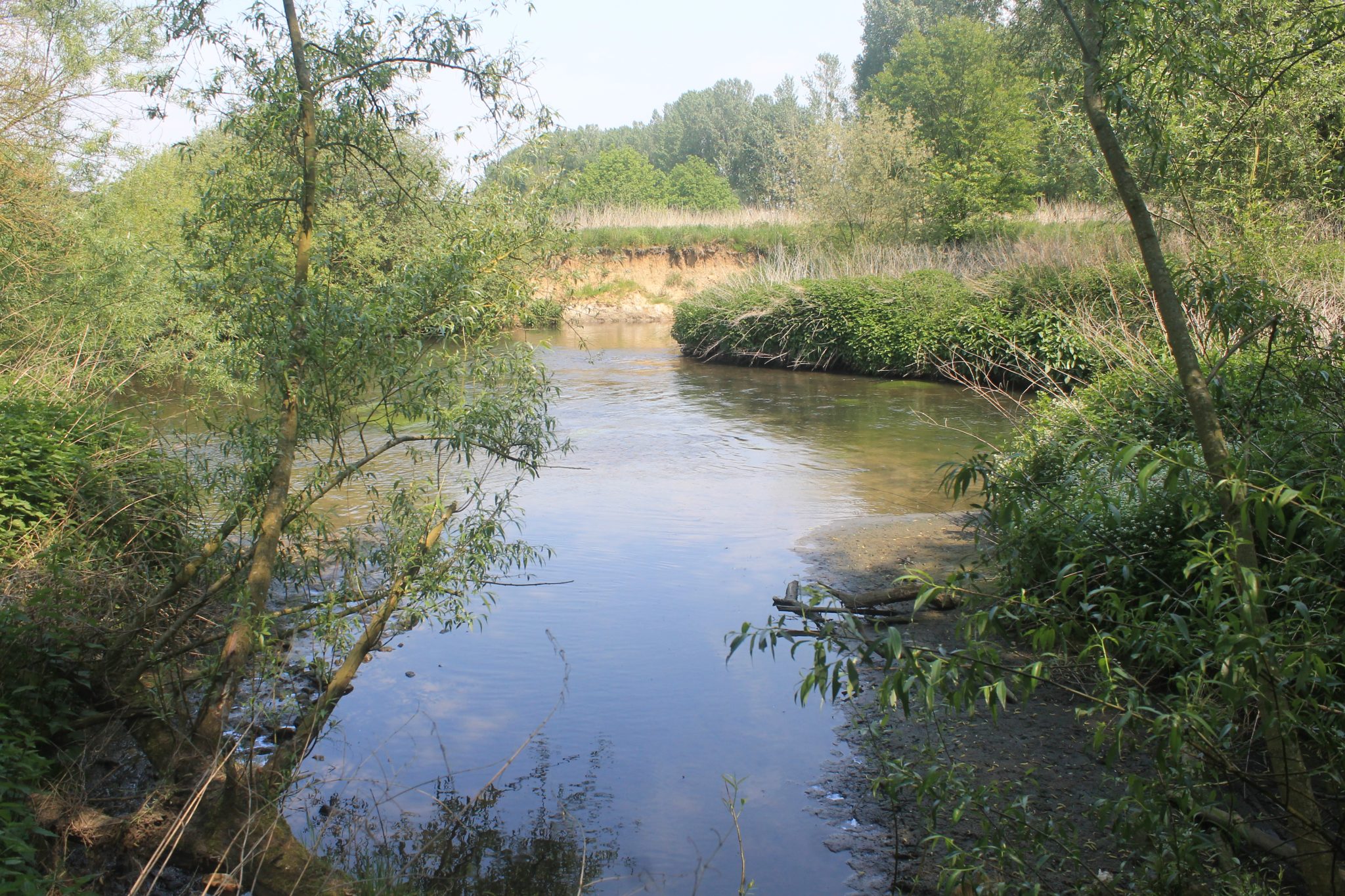 Bijzondere plekken langs de Worm. - IVN