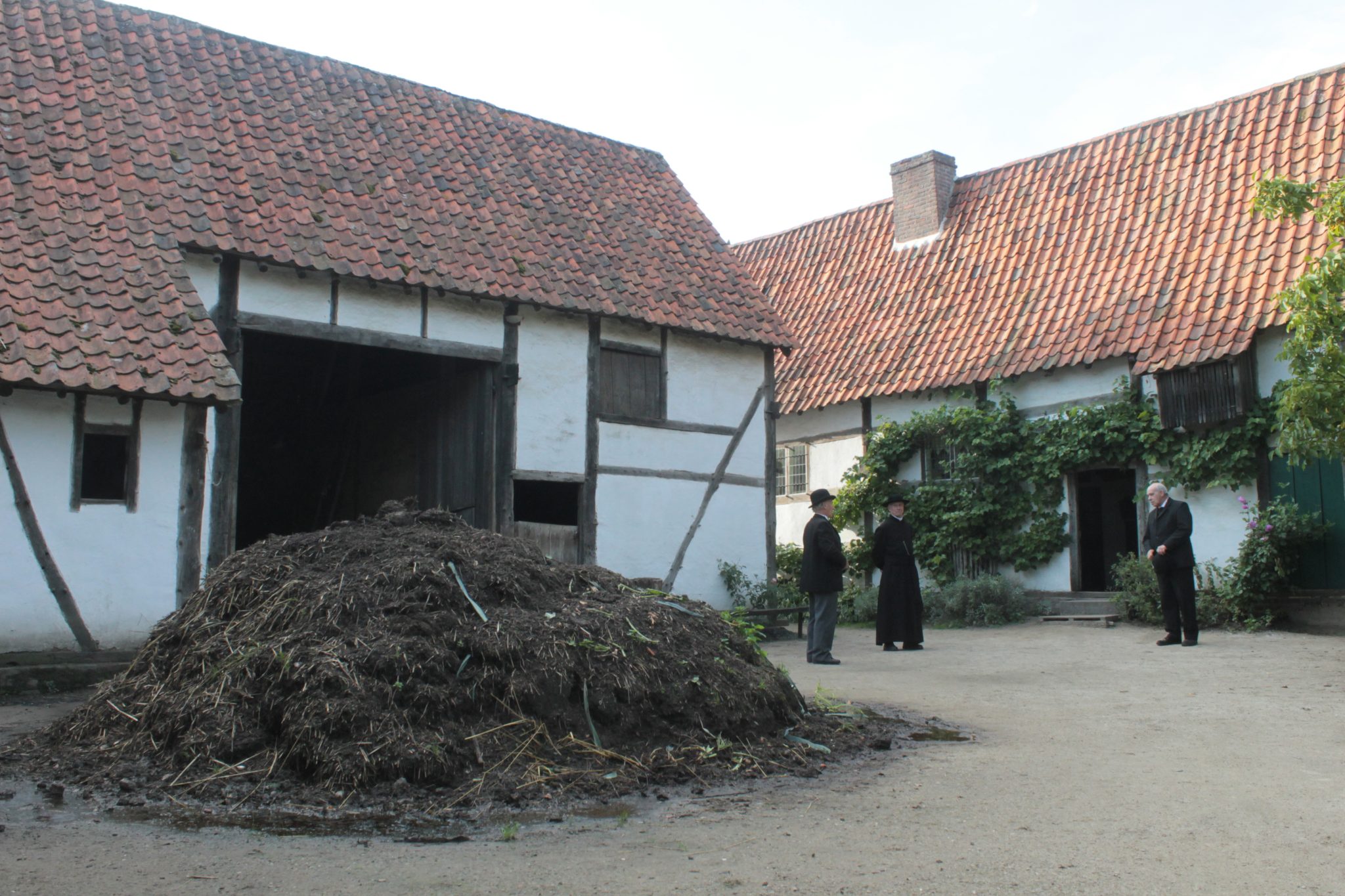 Openluchtmuseum Bokrijk (B) met wandeling historische bouwmaterialen en bezoek Dag van het ...