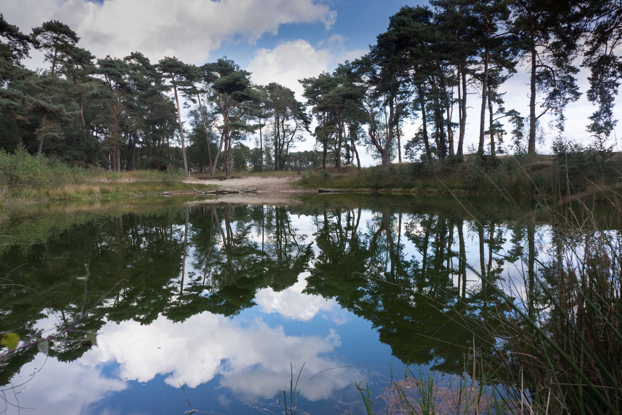 Beleef de Natuur! - IVN