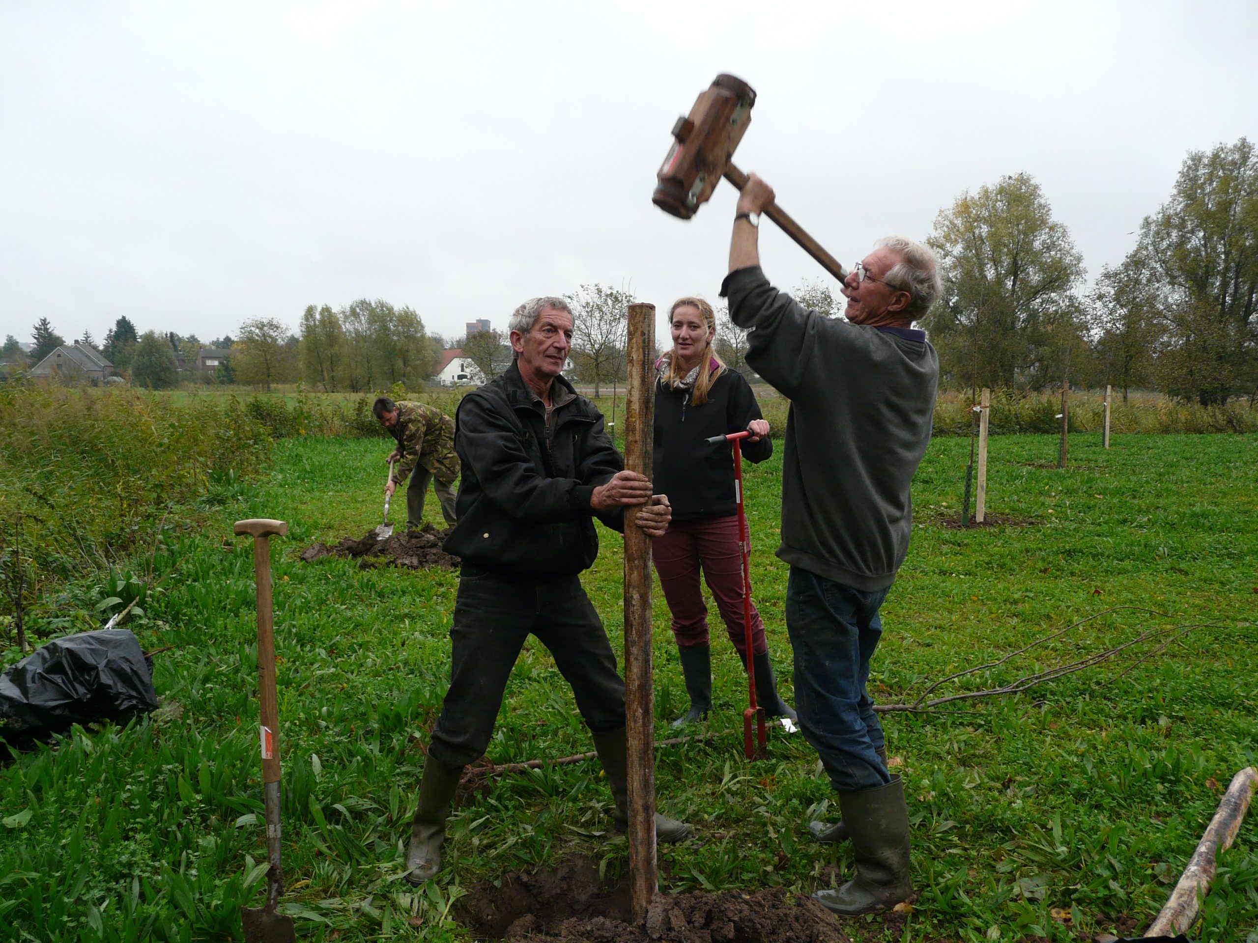 Natuurwerkgroep 'Aan de slag in de natuur' - Arnhem