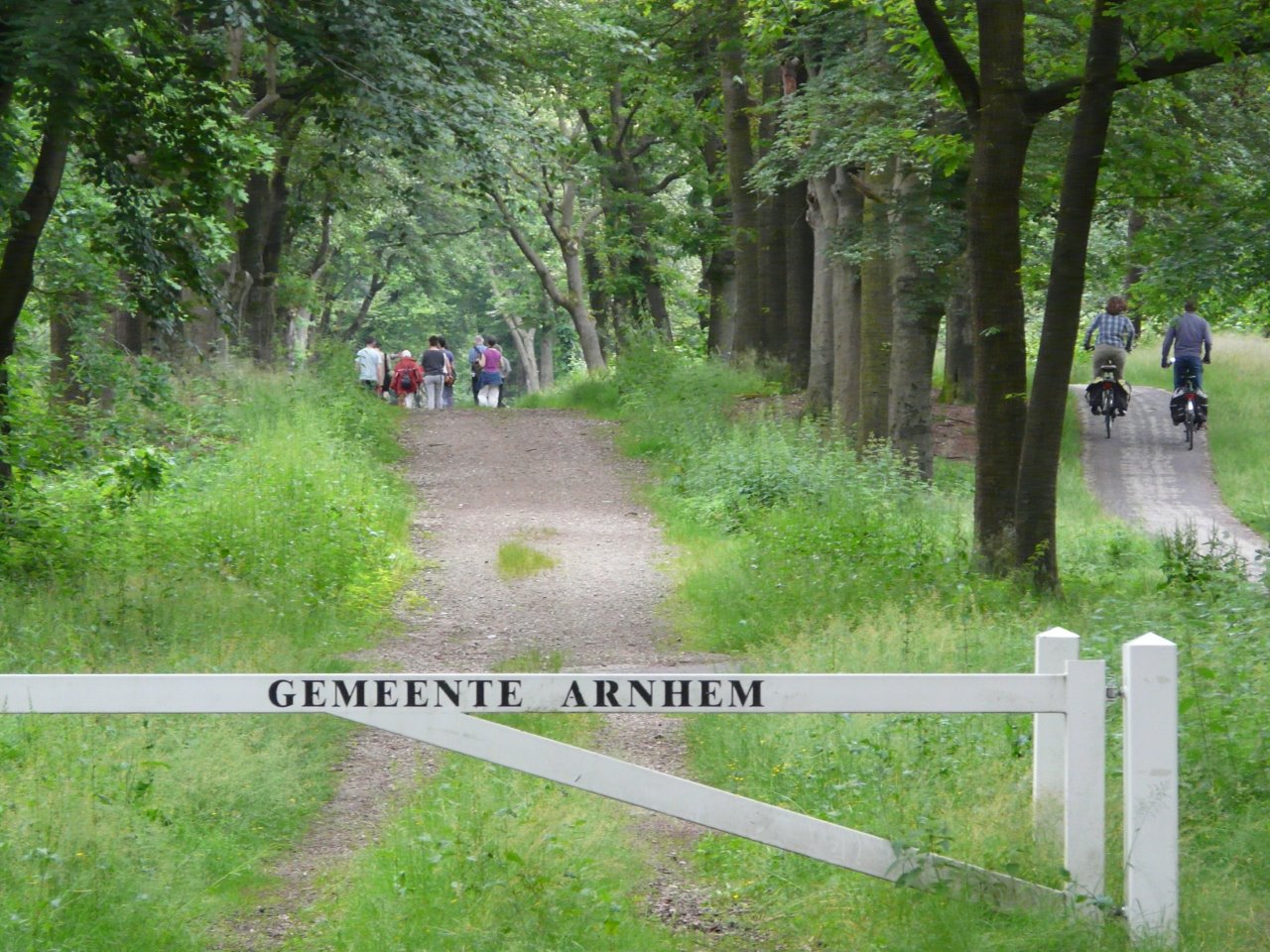 Weekendwandeling: bosgebied Schaarsbergen - IVN