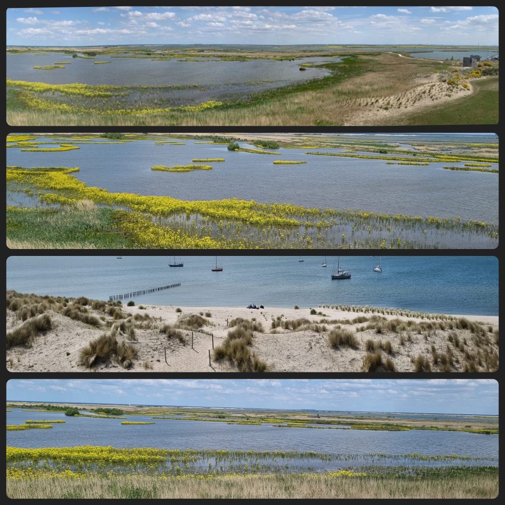 Een fantastische natuur- en vogeldag op de Marker Wadden - Barneveld