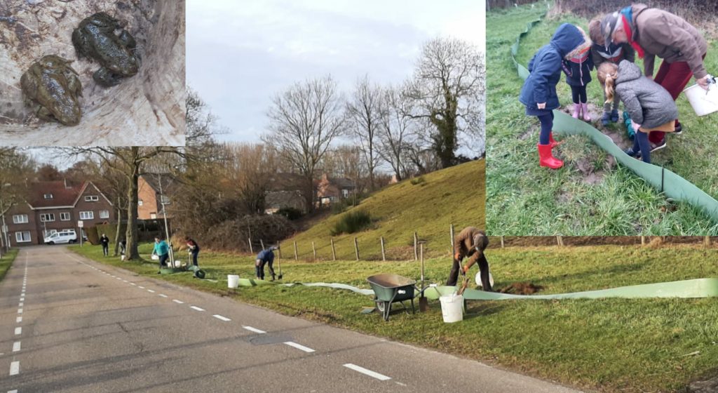 ZO-Nieuws Paddentrek in Nuth - Beekdaelen-Nuth