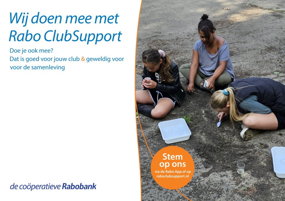 Wij doen mee met RaboClubSupport; wil je ons helpen? - Beekdaelen-Nuth