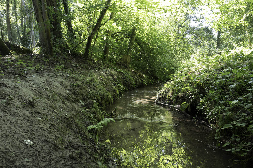 Activiteiten van augustus 2025 - IVN