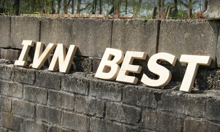 Home - IVN