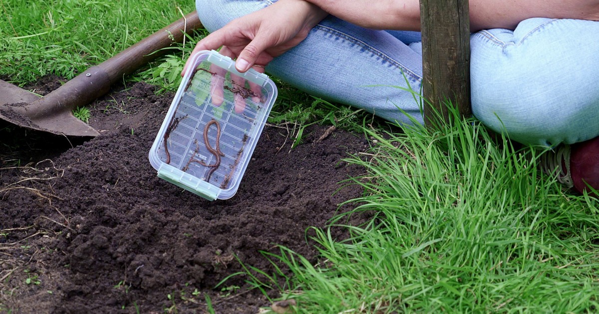 Film 'Onder het maaiveld' - Best