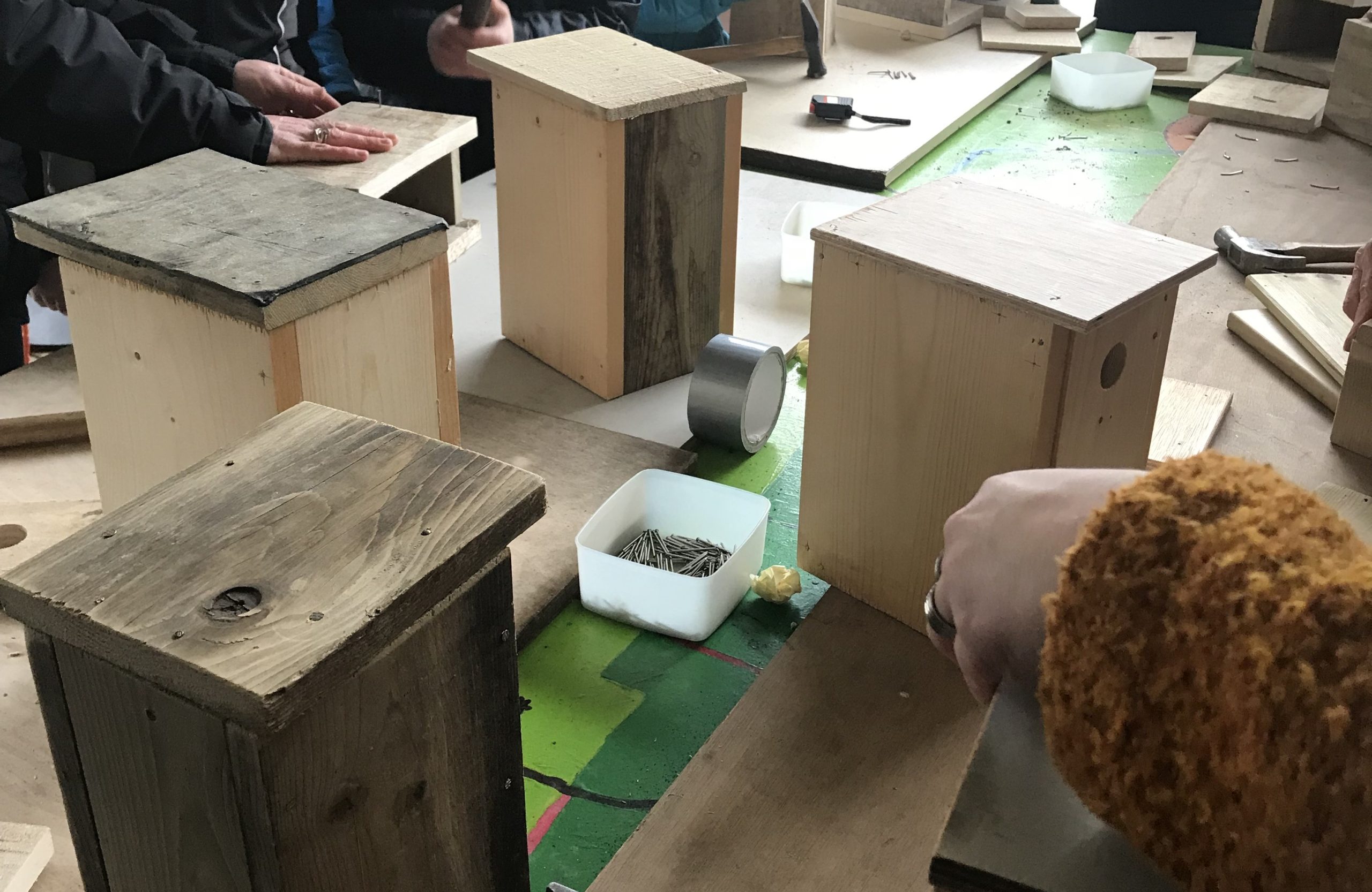 Timmeren voor de jeugd, 12-03-2023 - IVN