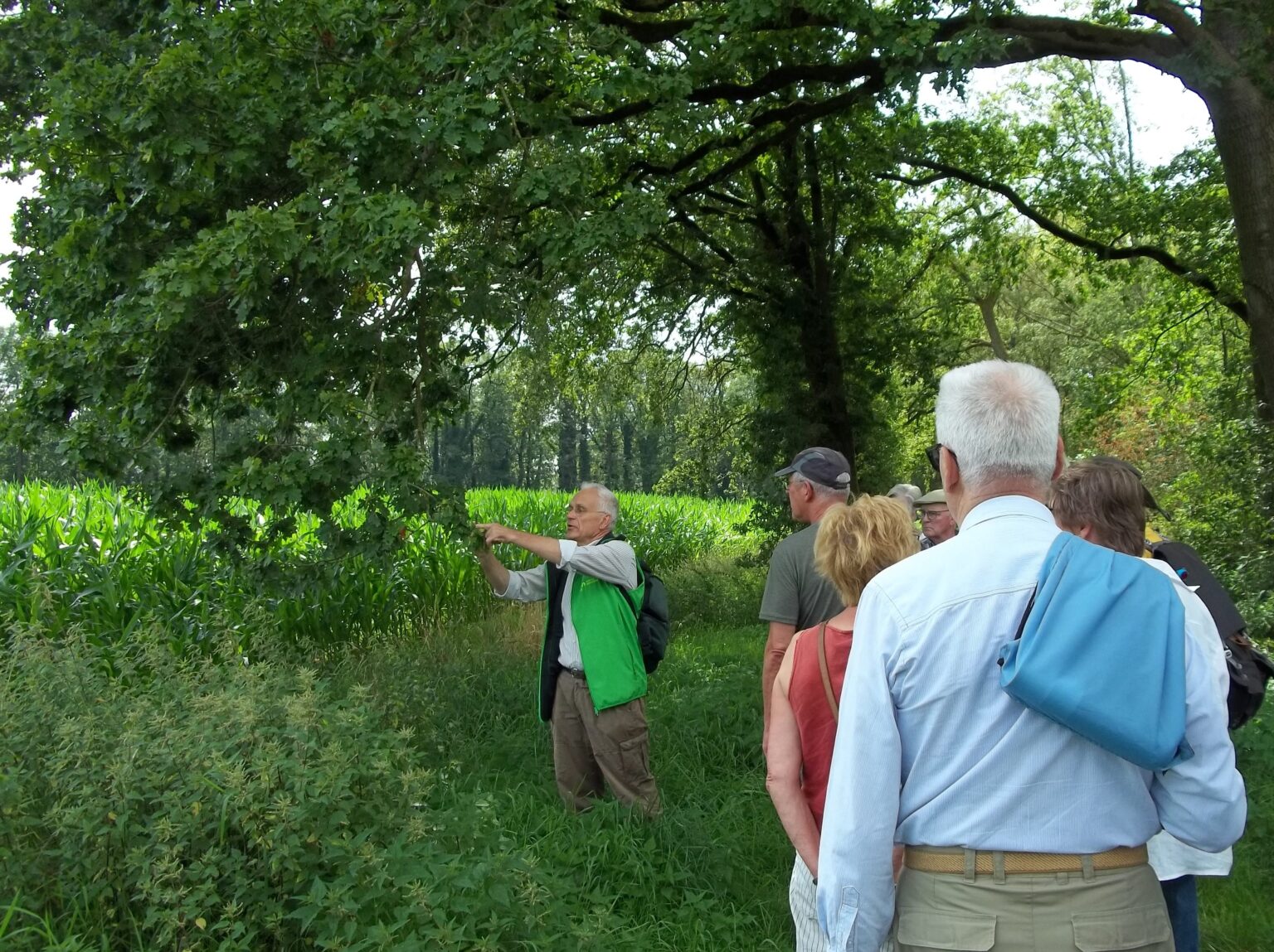 Natuurgidsenopleiding Het Groene Woud start september 2026 - IVN