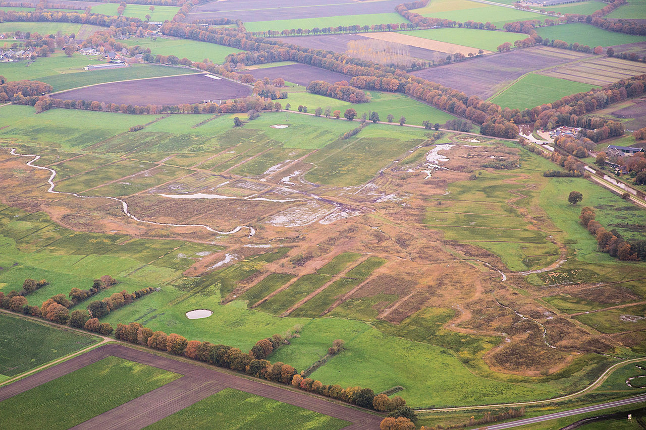 Zwerftocht in de Mandelanden bij Borger - IVN