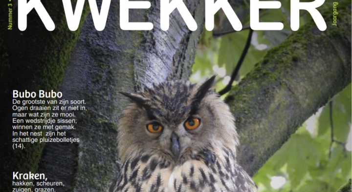 De juli Kwekker - de Maasdorpen