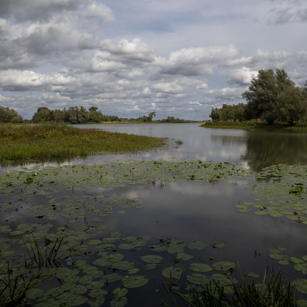 4 sept. 2025, Millingerwaard - IVN