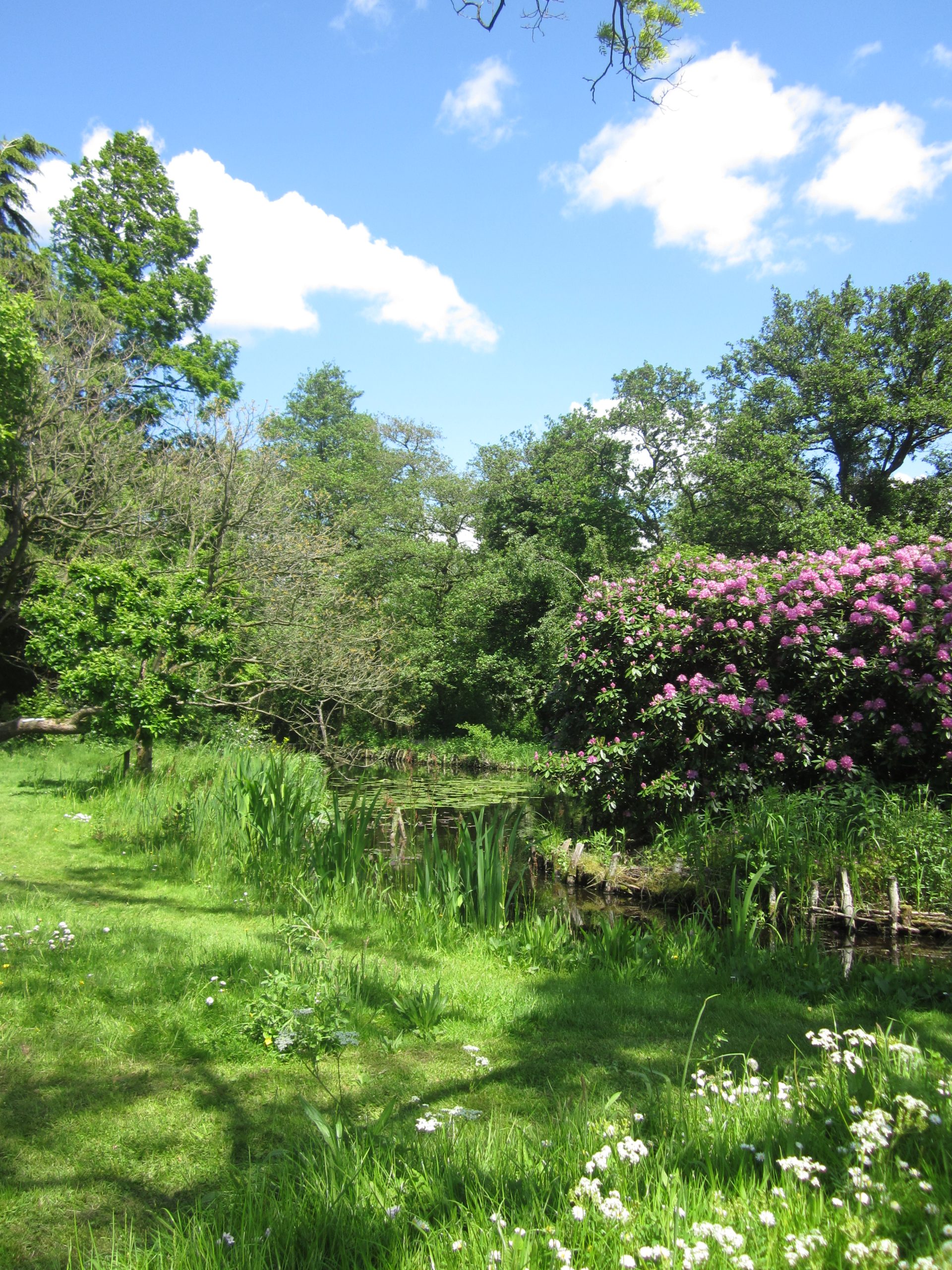Tuin Bram de Groote - IVN