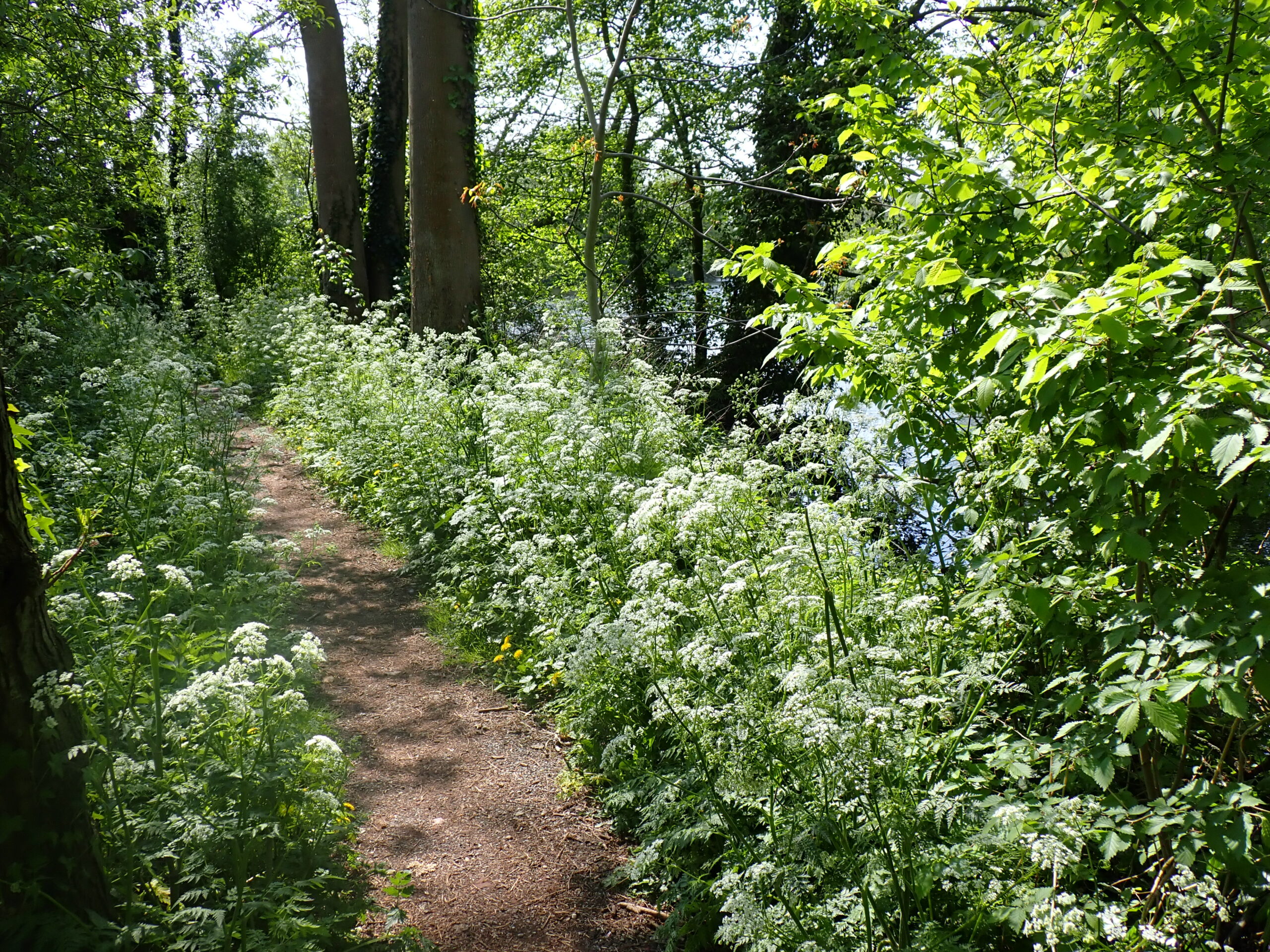 Excursie Zijdelse Zomp en Tuin Bram de Groote - IVN