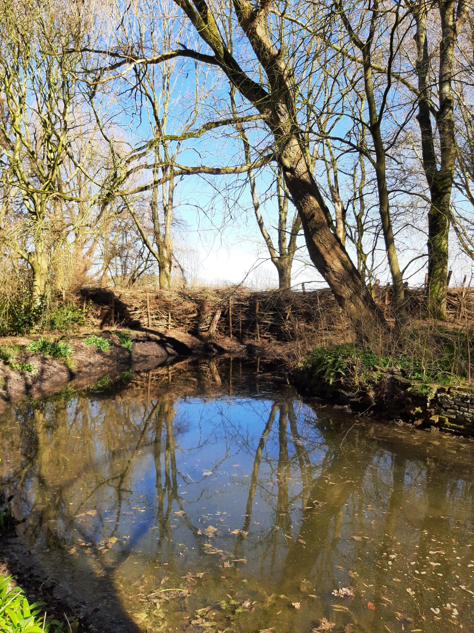 Meditatie 'Aandacht voor onze natuur' - Delft