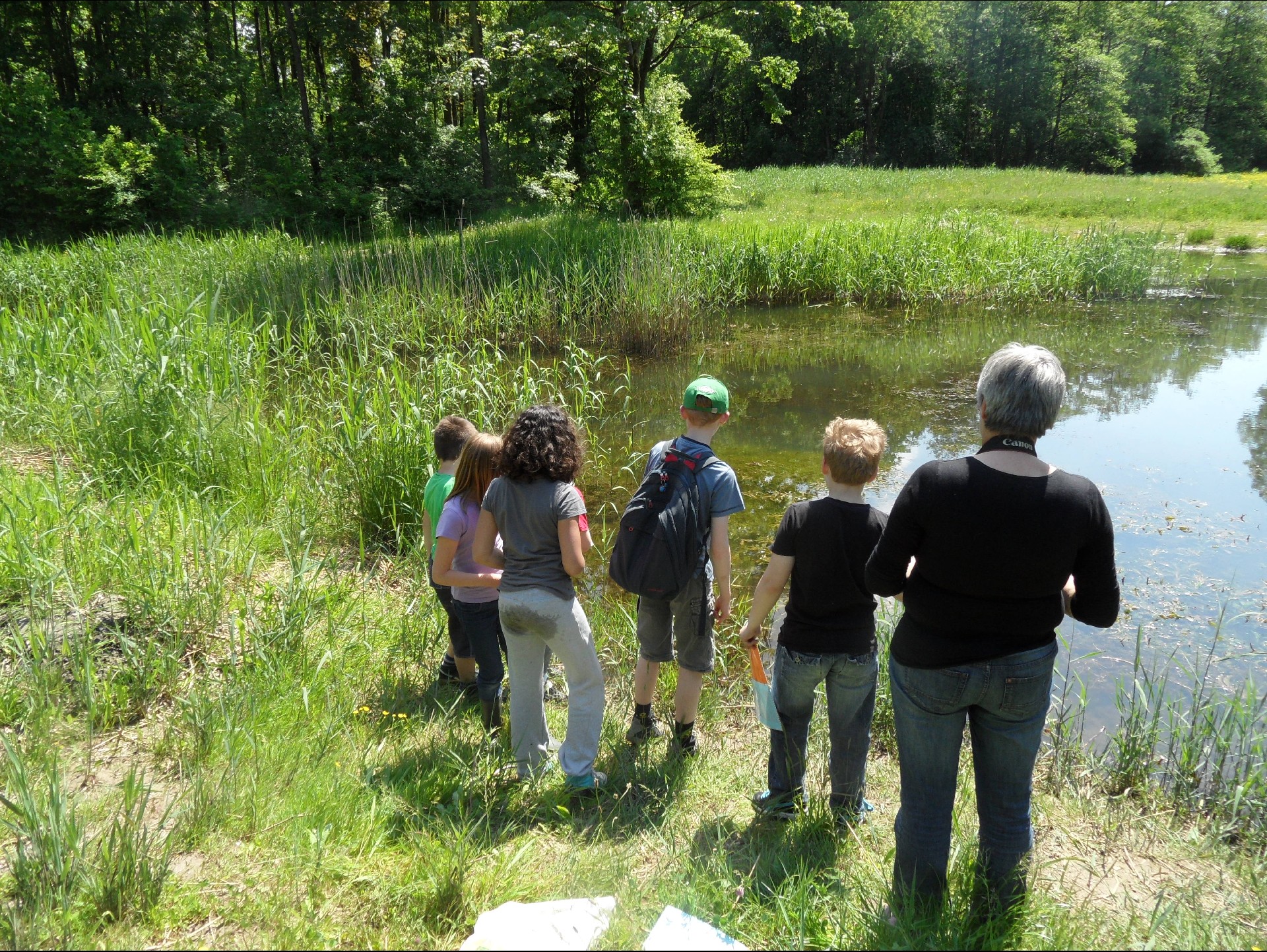 IVN Dronten zoekt vrijwilligers met een passie voor natuur - Dronten IVN Dronten zoekt vrijwilligers met een passie voor natuur - Dronten