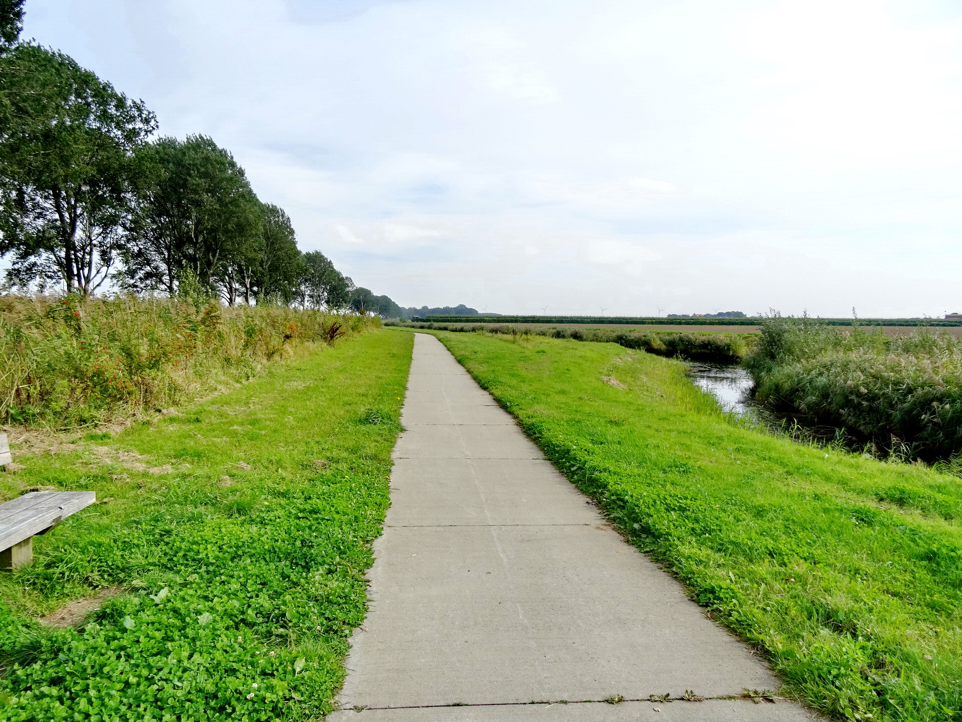 Natuurwandeling fietspad Hanzestrook - Dronten