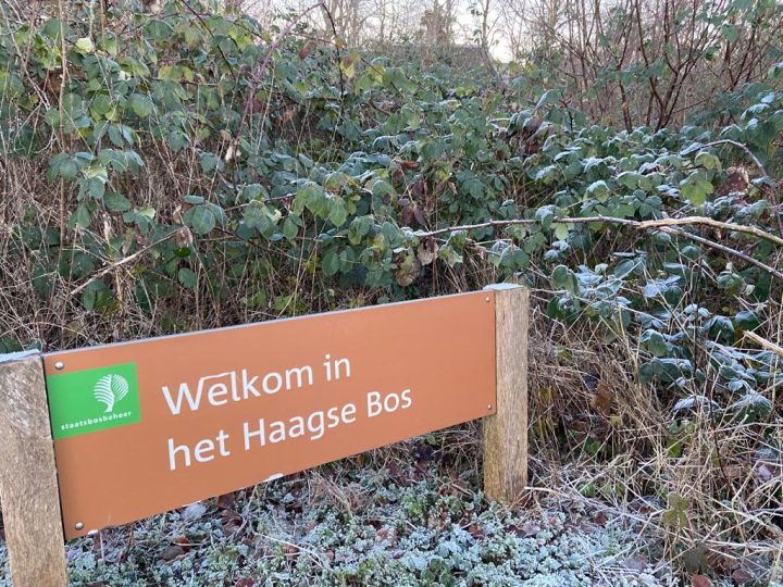 Excursie Haagse Bos - IVN