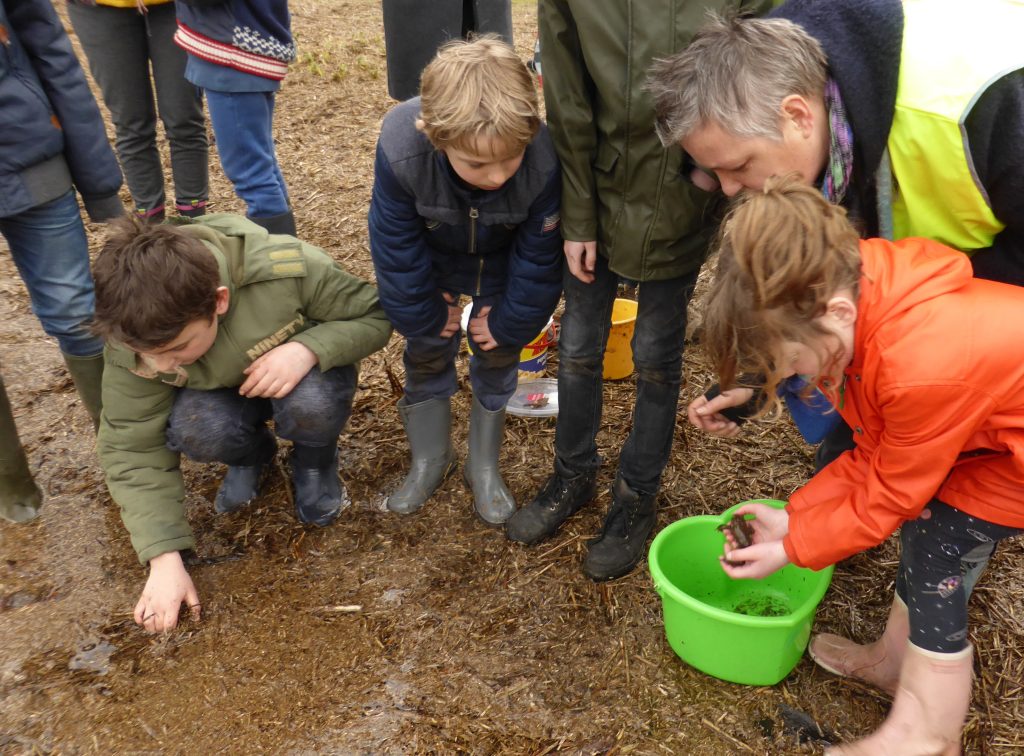 Excursie paddentrek bij de watertoren - Deventer