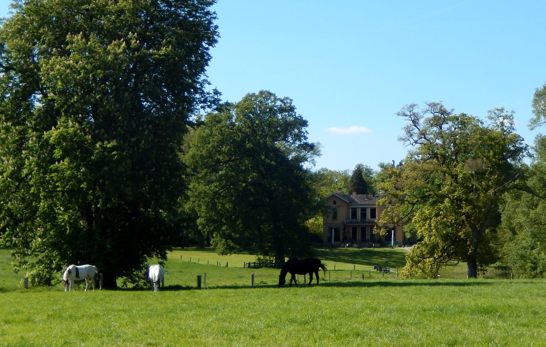 Nieuw Rande 3,2 km - Deventer