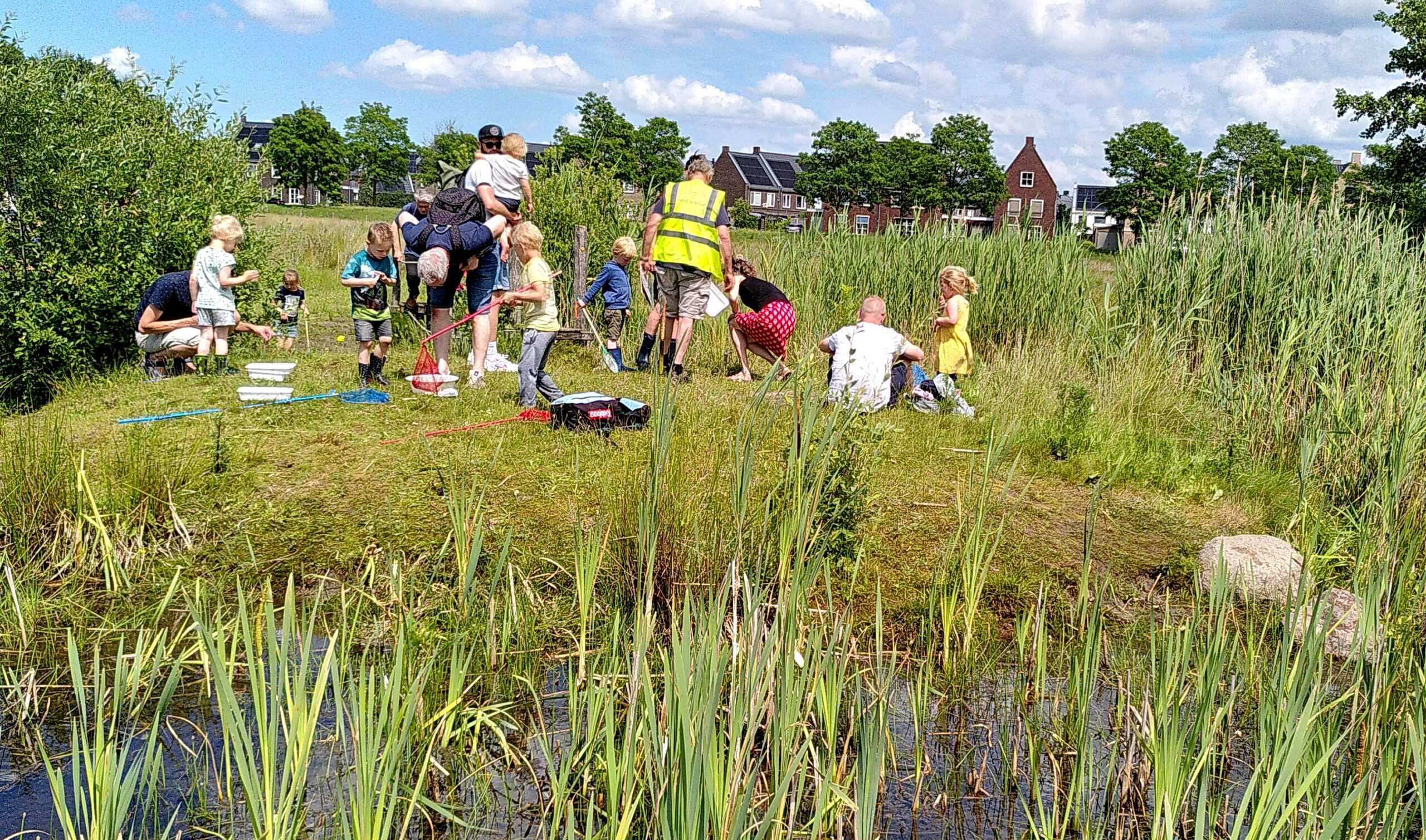 Waterbeestjes kijken in het Zandweteringpark op zondag 9 juni - IVN