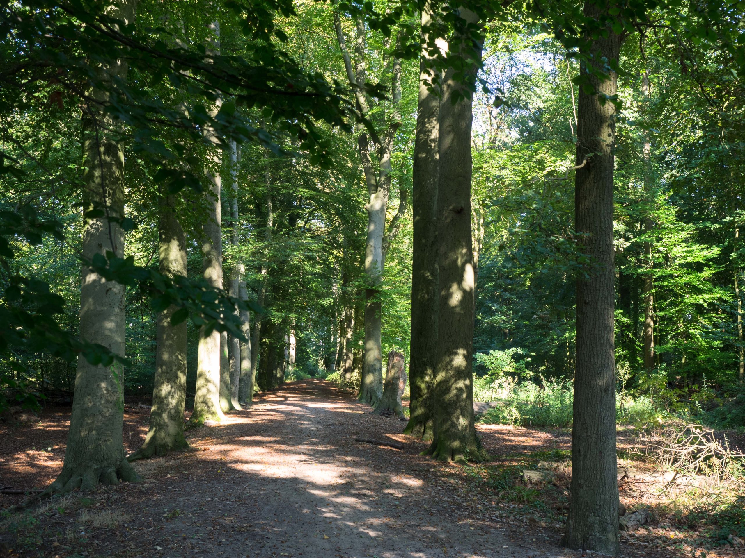 Pijnenburg - IVN