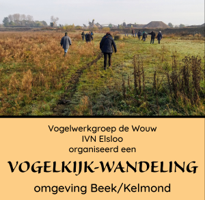 Vogelwandeling Kelmond 25 feb - Elsloo