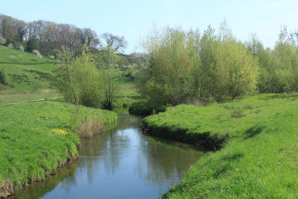 Estafette wandeling Geleenbeek ... Ophoven tot aan de Schwienswei - IVN