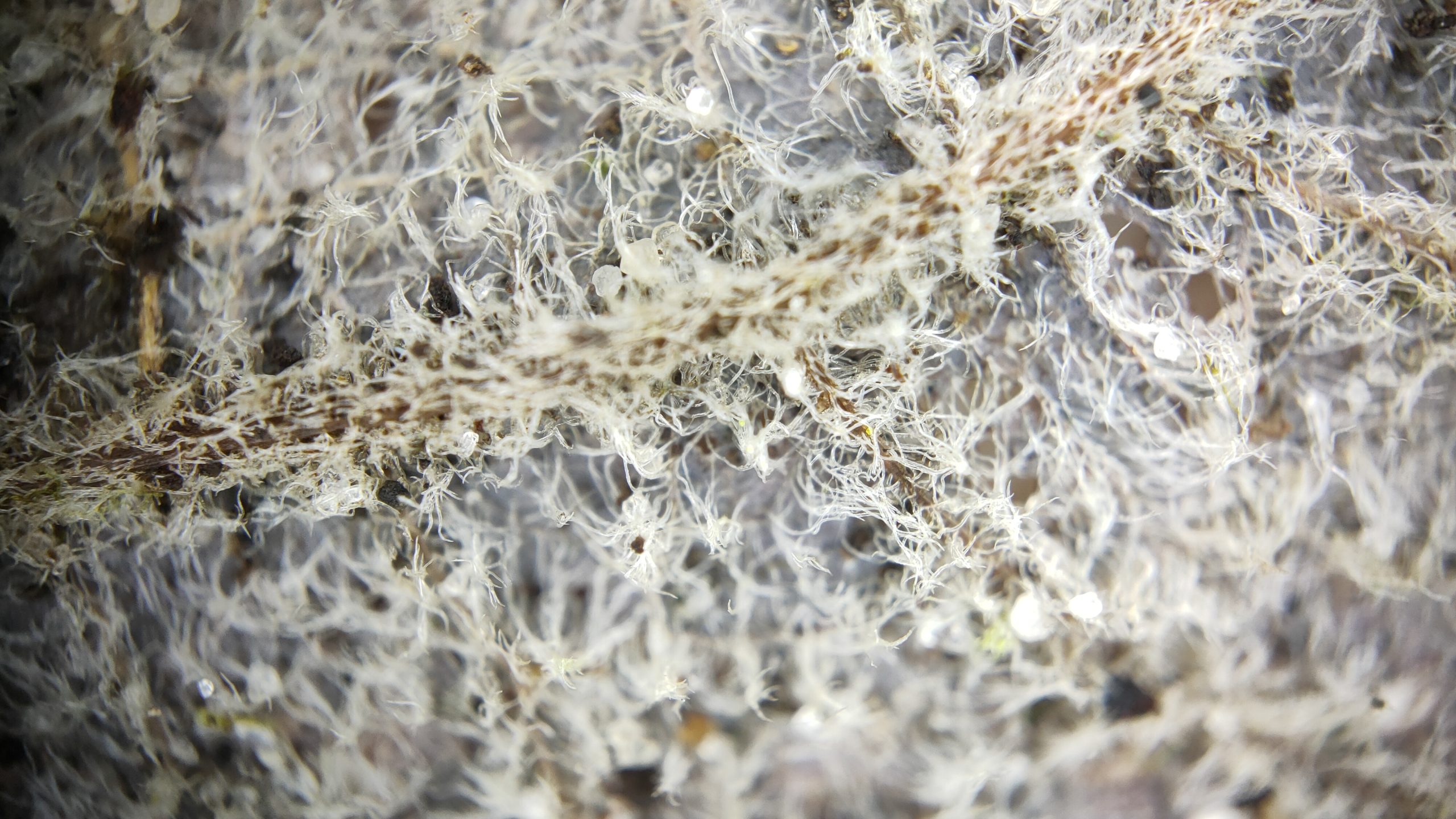 Filmavond: Onder het Maaiveld - Emmen-Coevorden