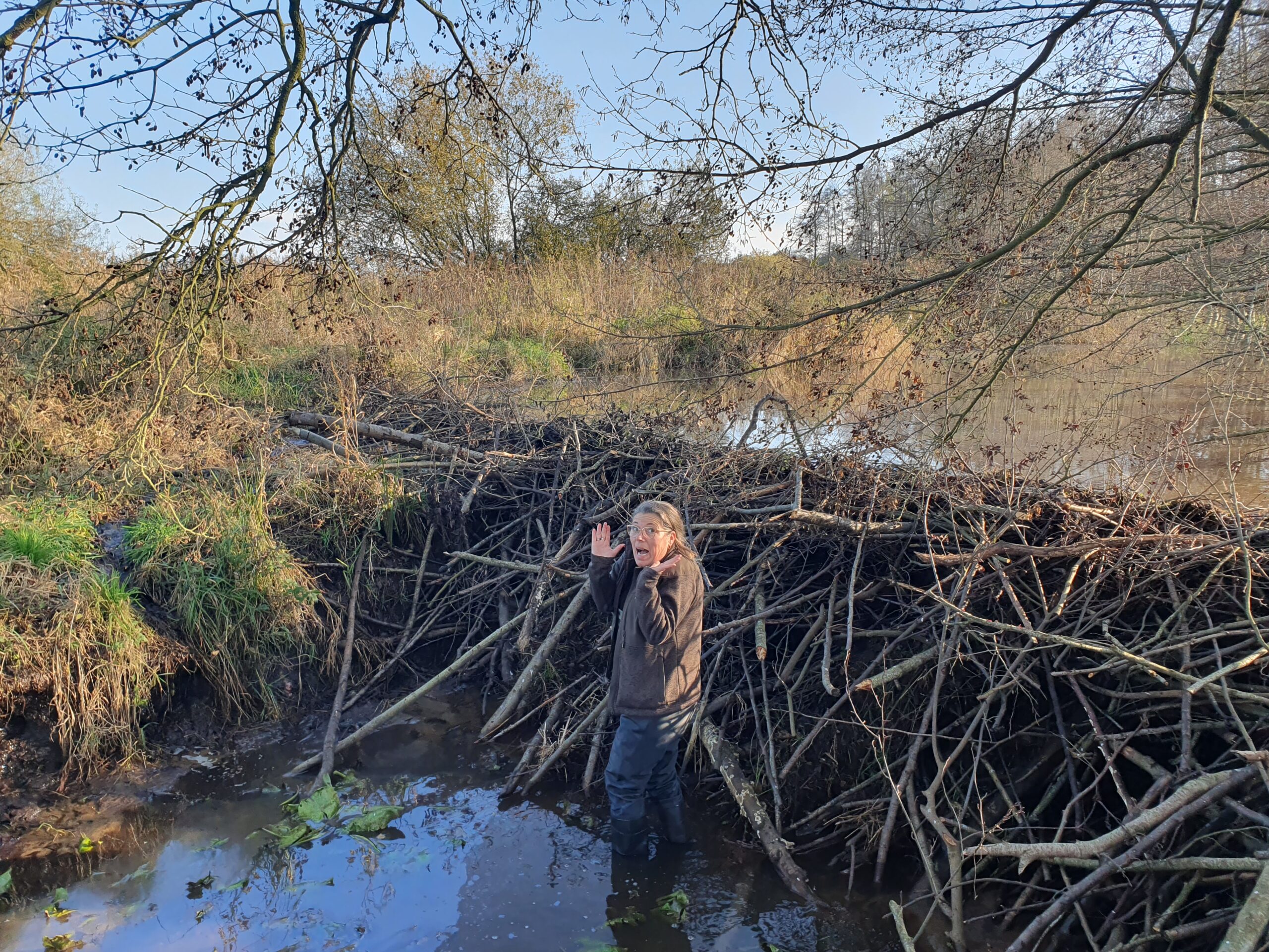 Lezing De bever in Noord Nederland - IVN