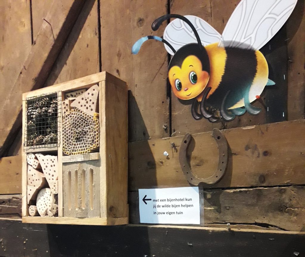 Tentoonstelling "Wilde Bij" in het Abraham Ledeboerpark - IVN